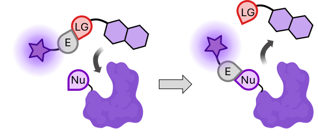 Research – Fiala Lab